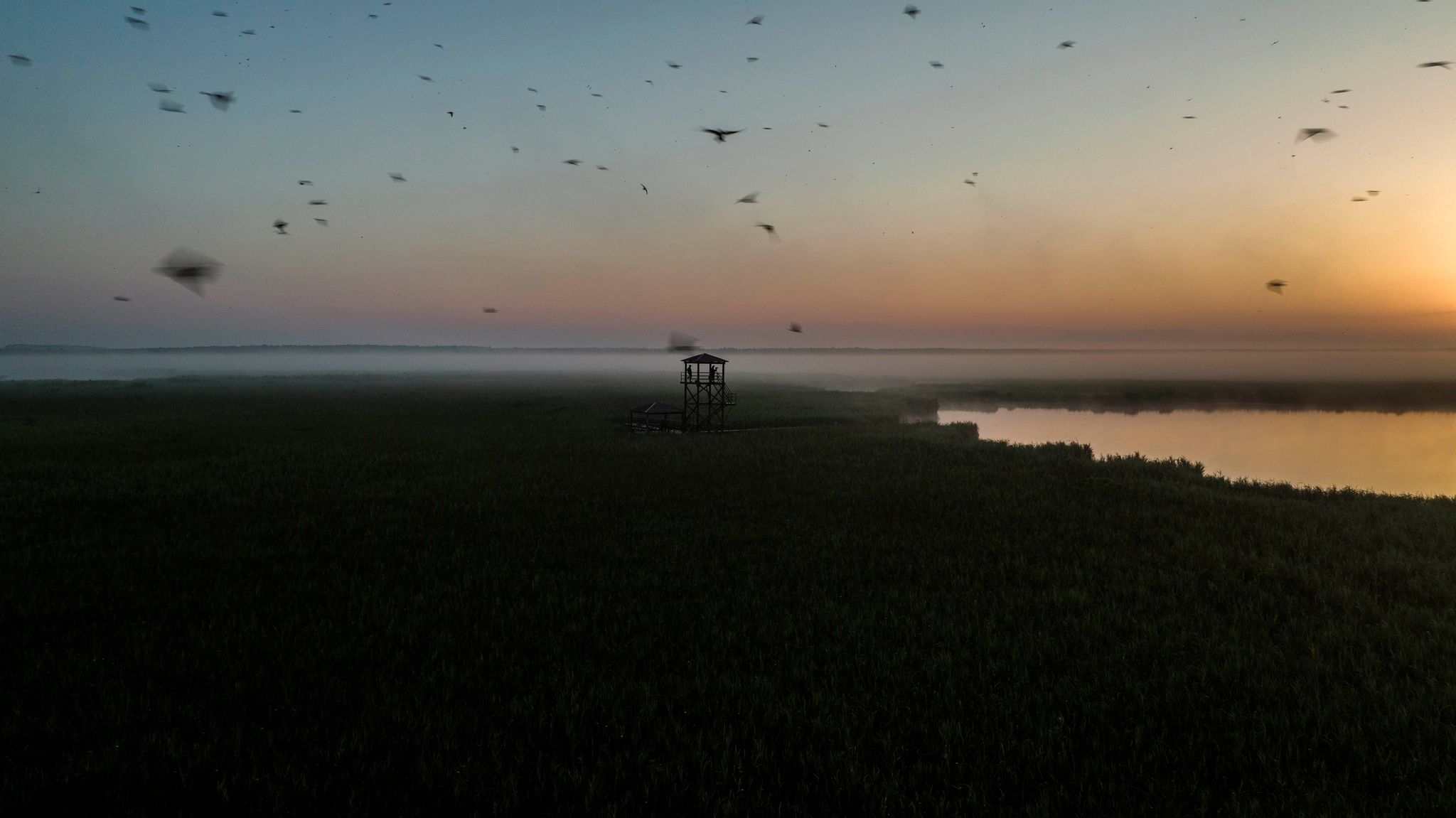 კოლხეთის ეროვნული პარკი | საქართველოს ამაზონი | INDIGO