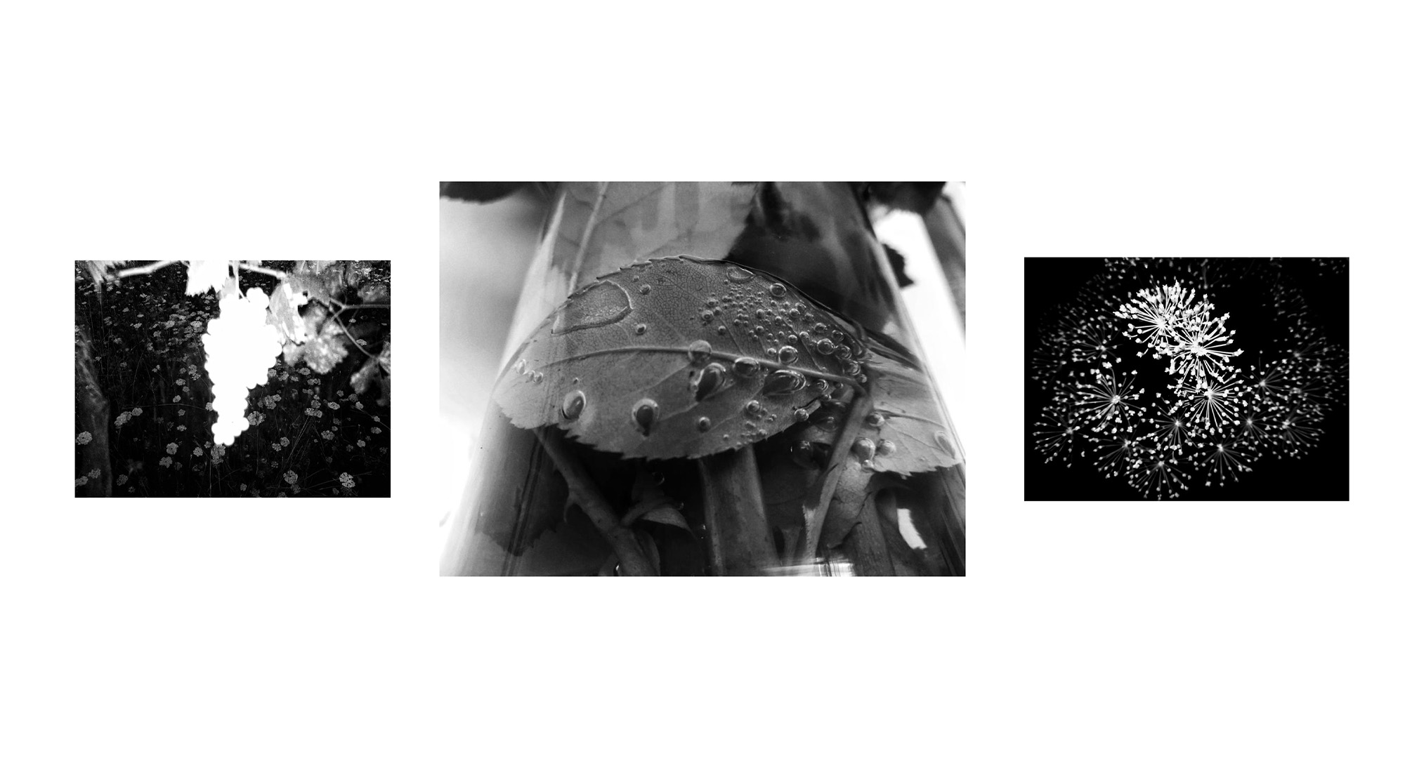 ნაწილები | ბექა ჯანიაშვილის ფოტოამბავი | INDIGO